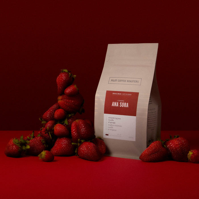 Pilot Coffee Roasters