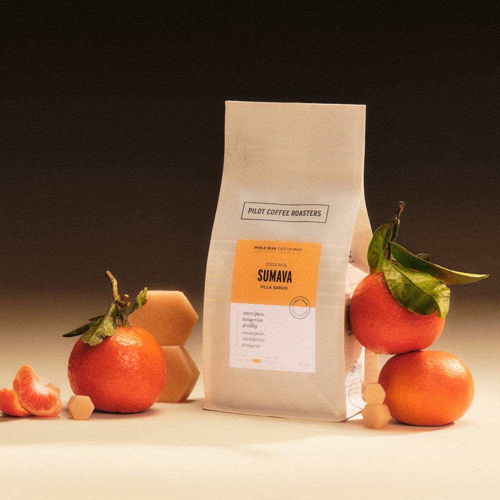 Pilot Coffee Roasters