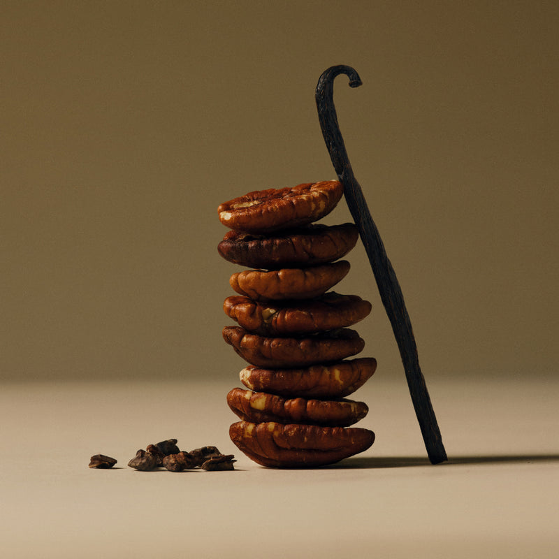 Pilot Coffee Roasters