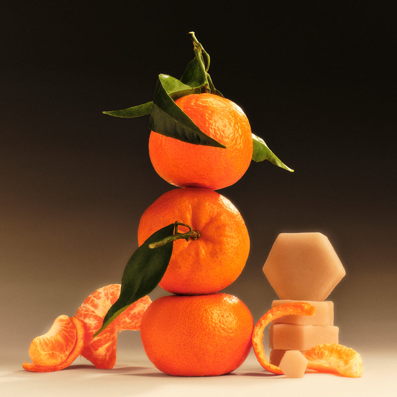 Pilot Coffee Roasters